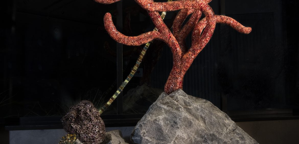 Installation – Kait Rhoads